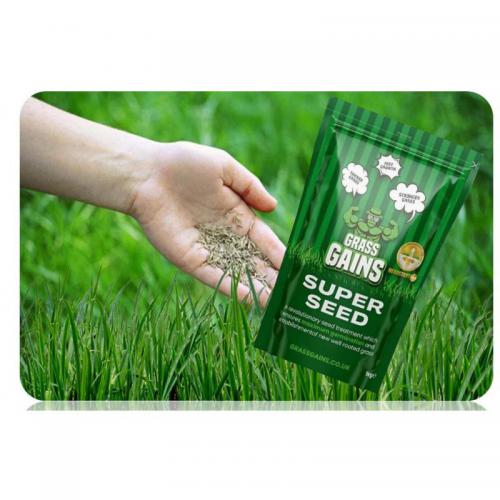 Grass Gains Super Seed 1KG, Fast Growth Lawn Seed 035634 | 035634
