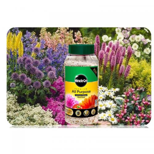 Miracle-Gro Continuous Release All Purpose | 127837 | Exercise Books