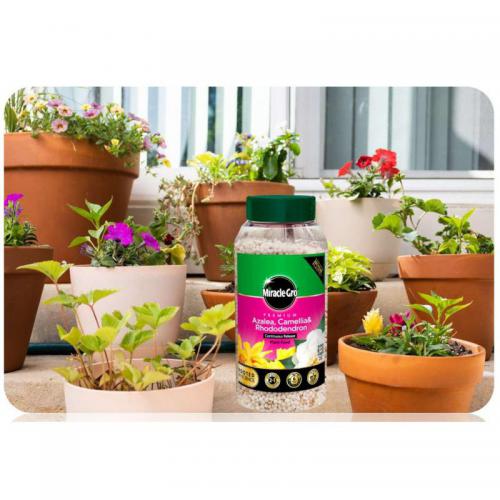 Miracle-Gro Premium Azalea, Camellia & Rhododendron | 127878