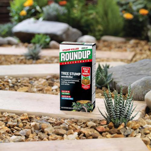 Roundup Tree Stump Weedkiller, Super | 128579 | Drawing Pads
