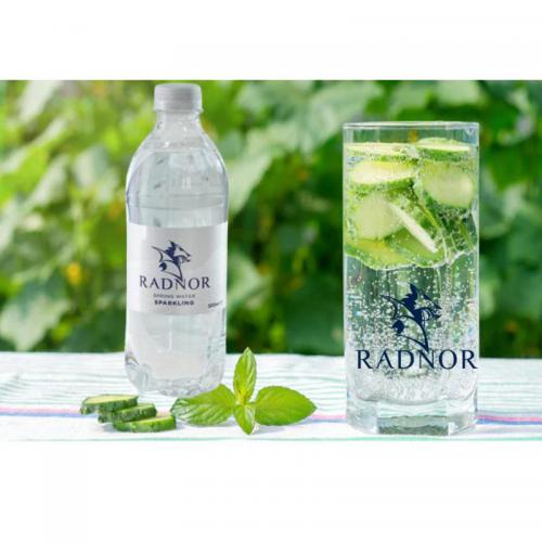 Radnor Hills Spring Sparkling Water 24 x | NWT863 | Sparkling Water